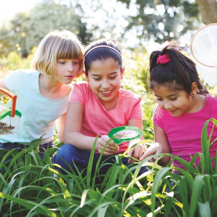 Nenko Makes Sense - Nenko